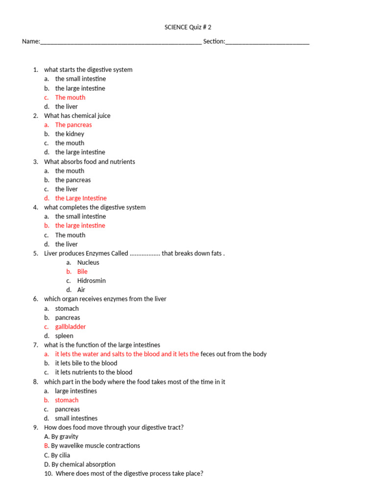 Grade 5 Digestive System Quiz | PDF