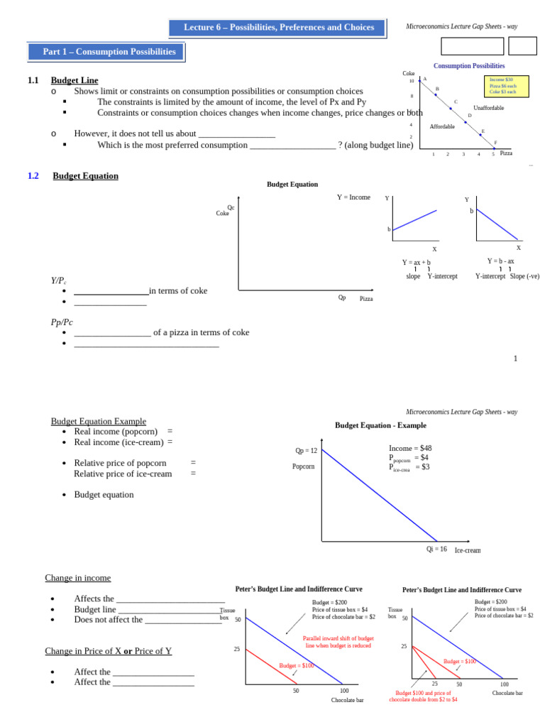 Lecture 6 Gap Sheet | PDF | Utility | Microeconomics