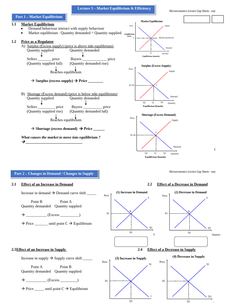Lecture 3 Gap Sheet | PDF | Economic Surplus | Economic Equilibrium