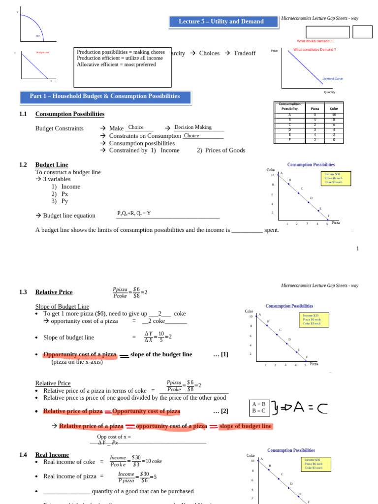 Lecture 5 Gap Sheet | PDF | Utility | Microeconomics