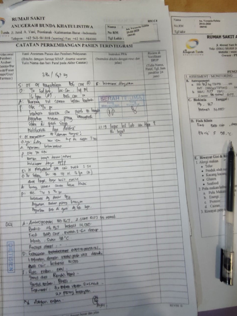 Asesement Gizi Pasien Anak (CPPT) | PDF