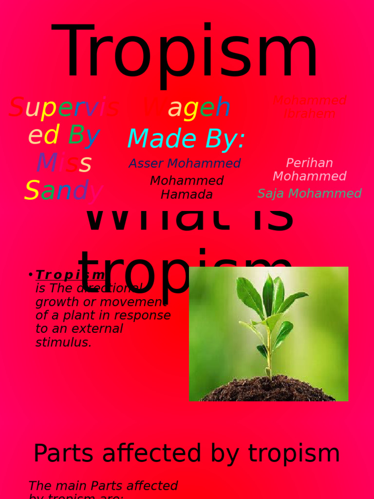 Tropism | PDF