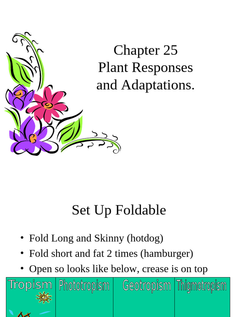 Plant Tropisms | PDF