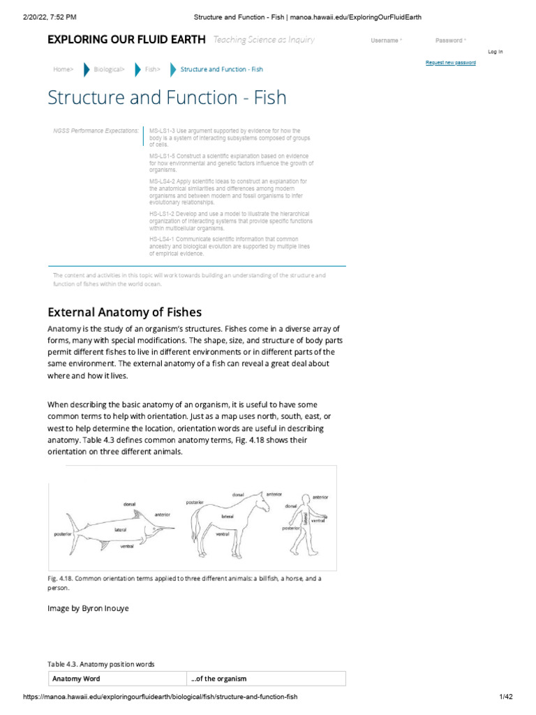Structure and Function - Fish - Manoa - Hawaii.edu ...