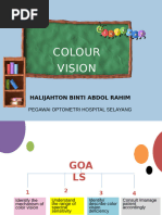Ishihara Test Interpretation Guide | PDF