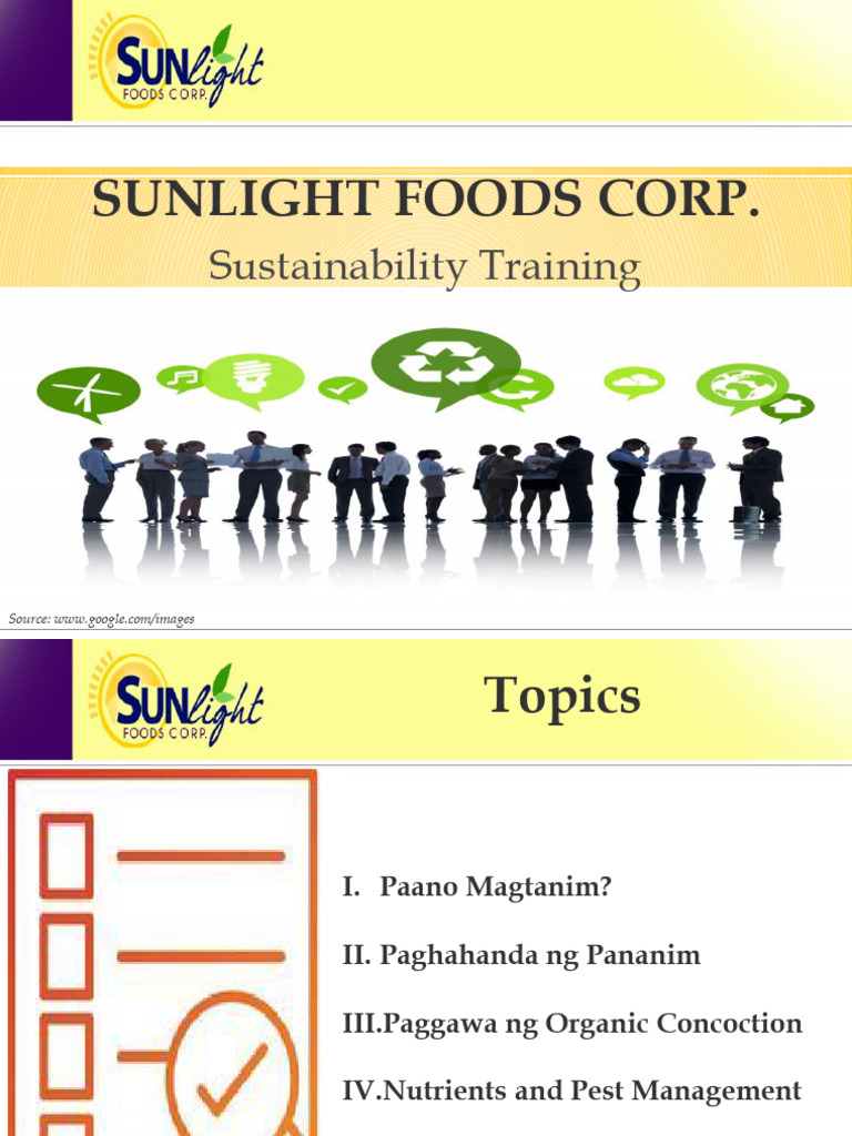 How to Plant Ube.compiled | PDF