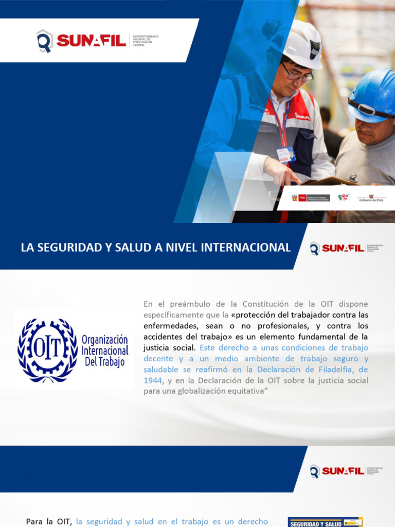 20.02 Ley 29783 y Su Reglamento de Seguridad y Salud en El Trabajo - 2024 | PDF | Seguridad y ...