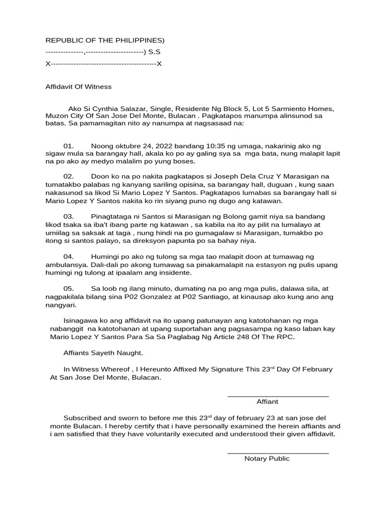 Affidavit of Witness | PDF