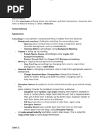 Classroom Butterfly Camouflage Activity | PDF | Camouflage | Mimicry