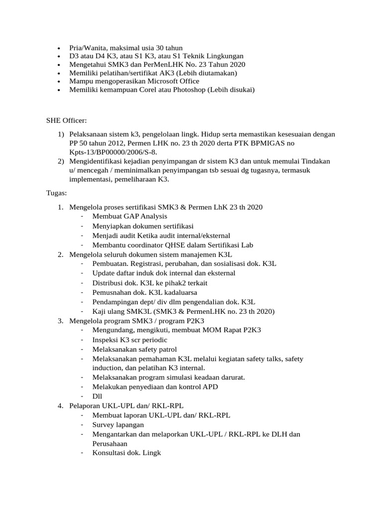 Contoh Interview SHE | PDF