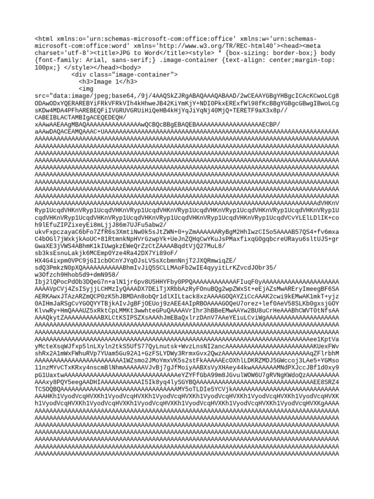 JPG to Word Conversion Guide | PDF