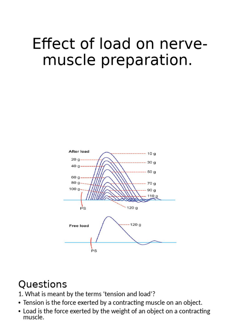67514a69d3b41 2 | PDF | Muscle Contraction | Skeletal Muscle