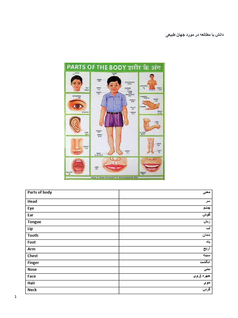 Science KG Cover and Content 0 | PDF