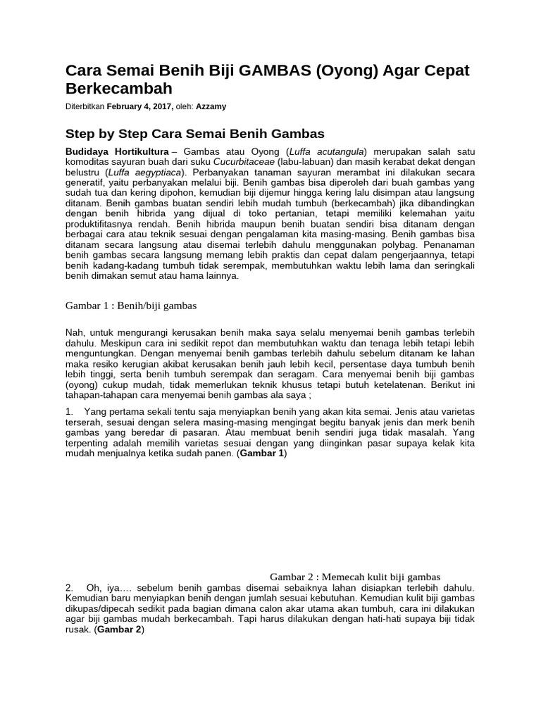 Cara Semai Benih Biji GAMBAS | PDF