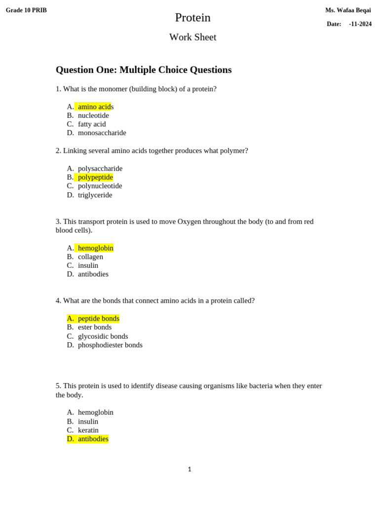 Protein Work Sheet Answer Key | PDF | Proteins | Amino Acid