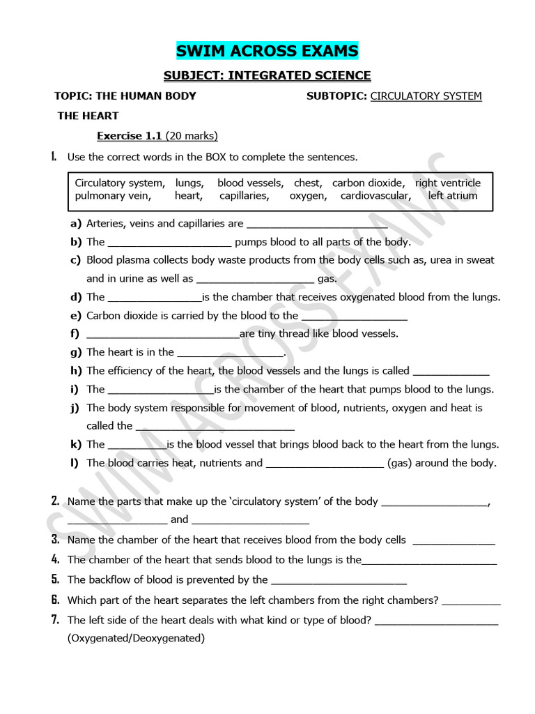 g5-6 Sae Worksheet Heart | PDF