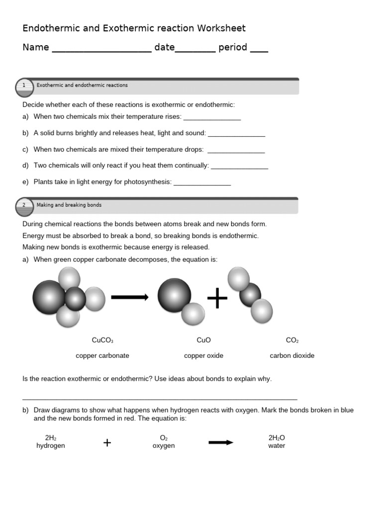 Exothermic vs Endothermic Reactions Worksheet | PDF