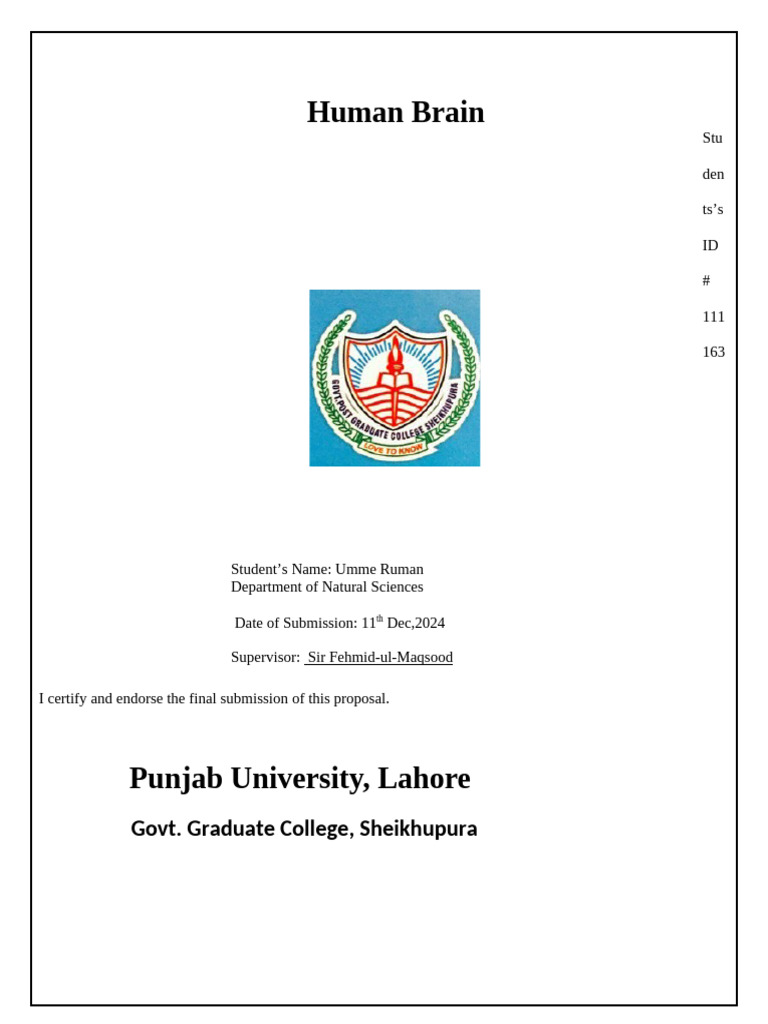 Brain Anatomy and How the Brain Works | PDF | Brainstem | Cerebrum