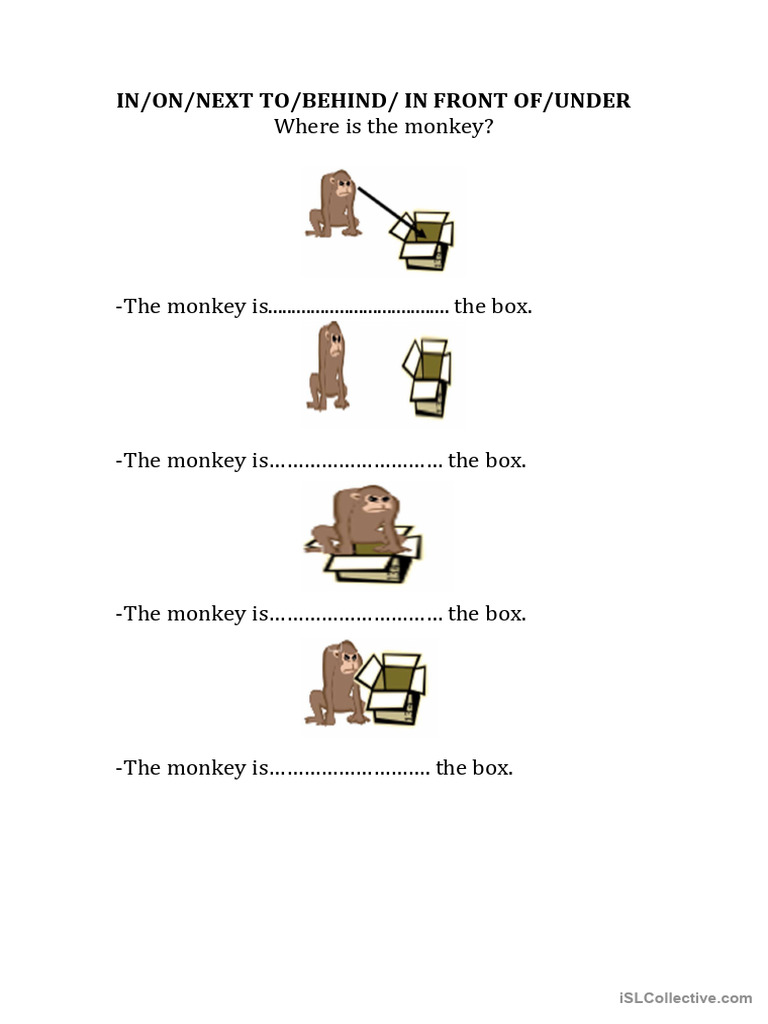 Where Is The Monkey | PDF