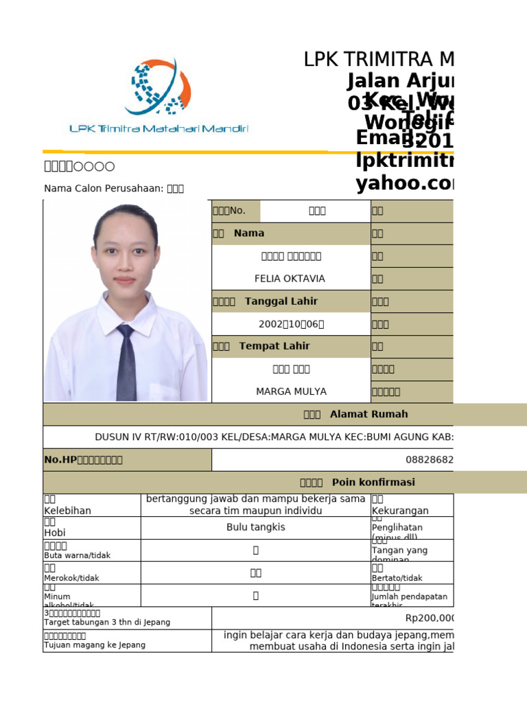 Felia CV TMM 1 | PDF