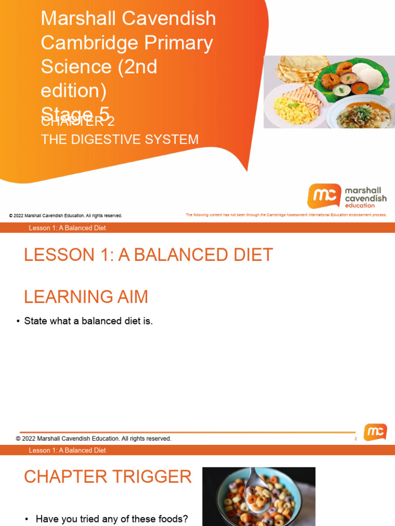 Balanced Diet and Digestive System | PDF | Healthy Diet | Diet (Nutrition)