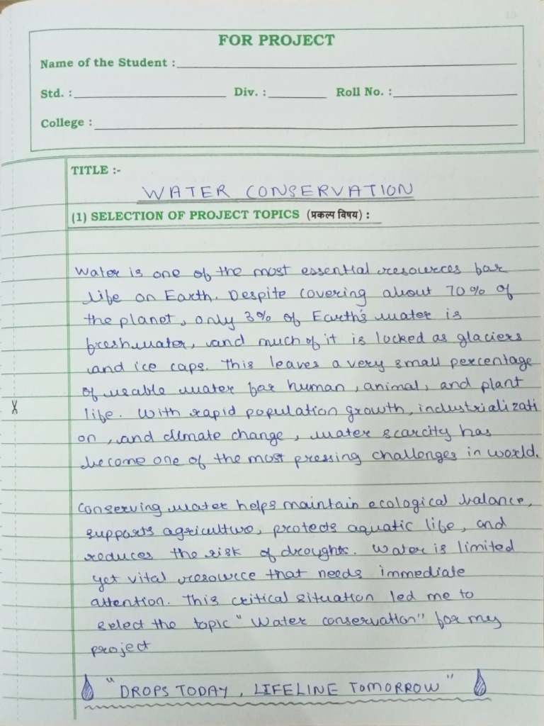 Class 12th HSC EVS Project | PDF