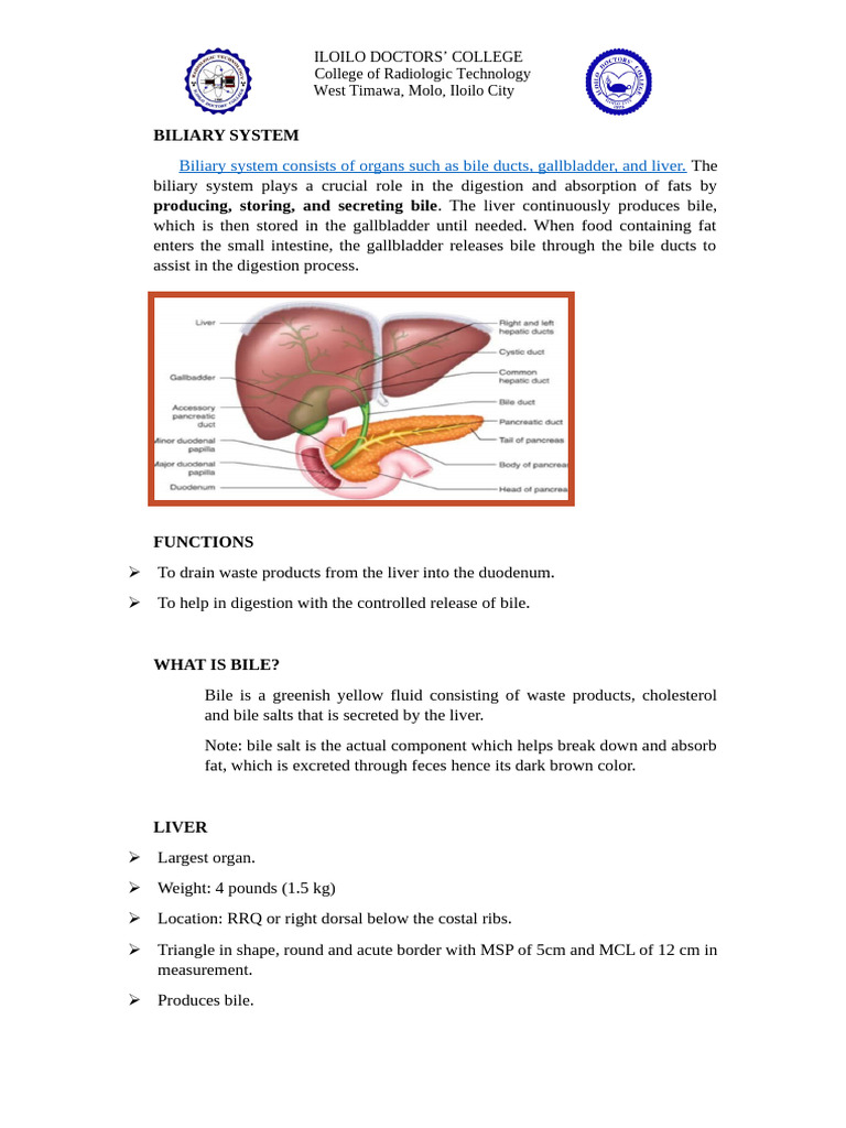 Biliary System | PDF | Gallbladder | Abdomen