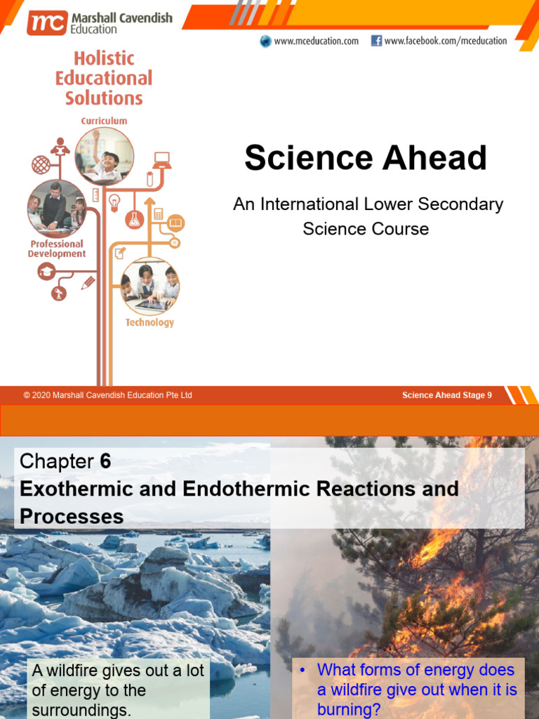 Exothermic and Endothermic | PDF | Chemical Reactions | Sodium Bicarbonate
