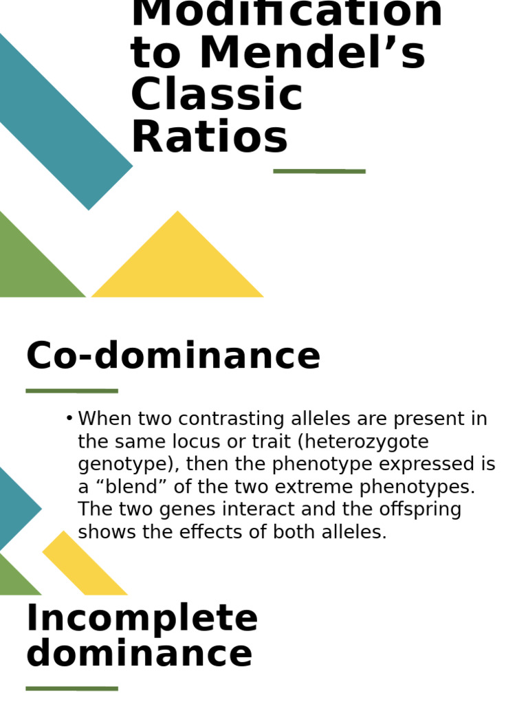 Modification To Mendel's Classic | PDF | Dominance (Genetics) | Allele