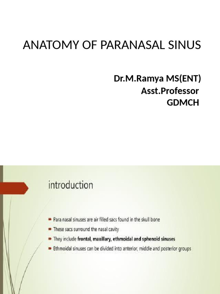 Anatomy of Paranasal Sinuses Explained | PDF