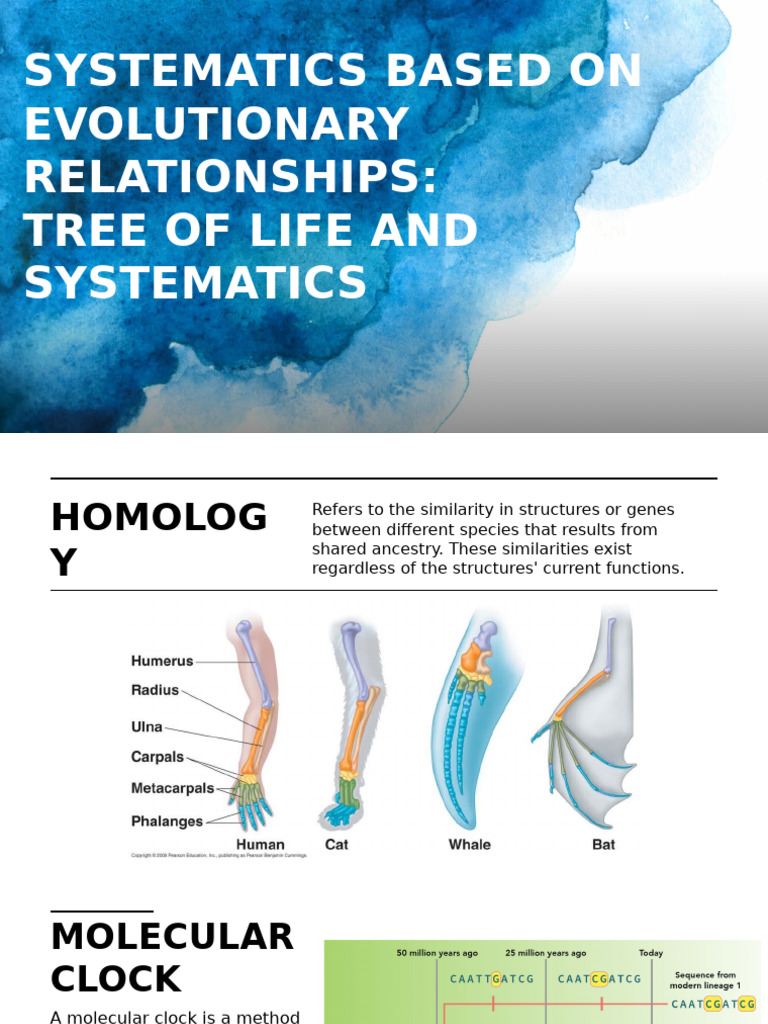 Q4 Module3 Systematics Based On | PDF | Phylogenetic Tree | Phylogenetics