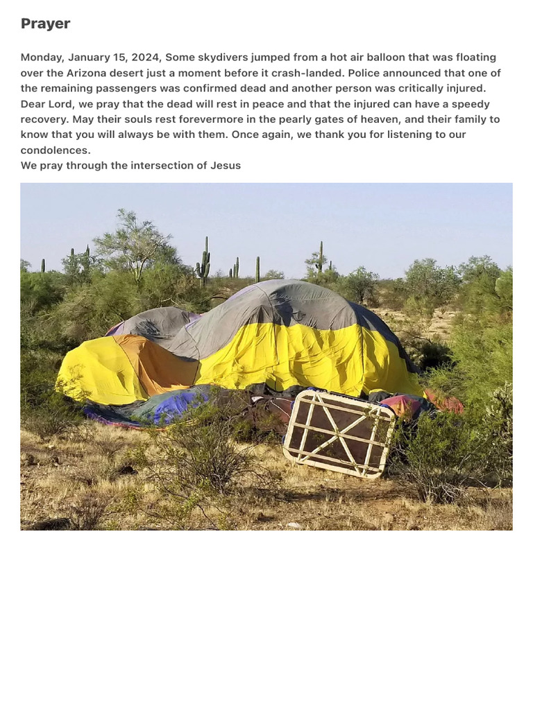 News Article Summary | PDF