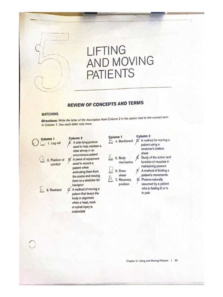 Chapter 5 Questions Kin5 | PDF