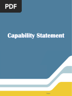 Adb CV Format For Individuals | PDF