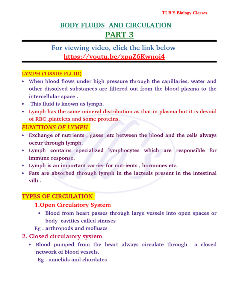 Circulation Notes Part 3 | PDF | Heart | Circulatory System