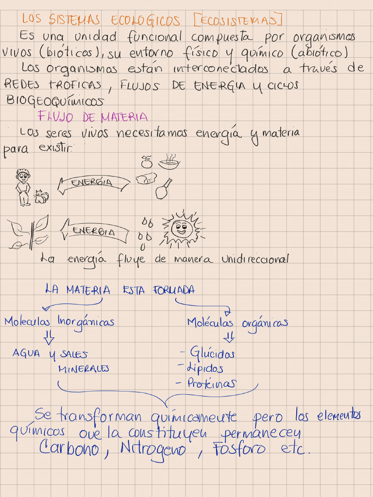 Flujo de Materia y Energía en los ecosistemas_240903_001938 | PDF