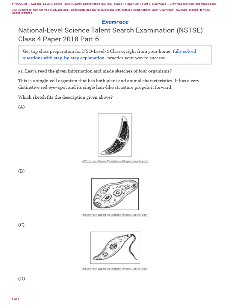 NSTSE Class 4 Paper 2018 Part 6 | PDF | Flowers | Organisms