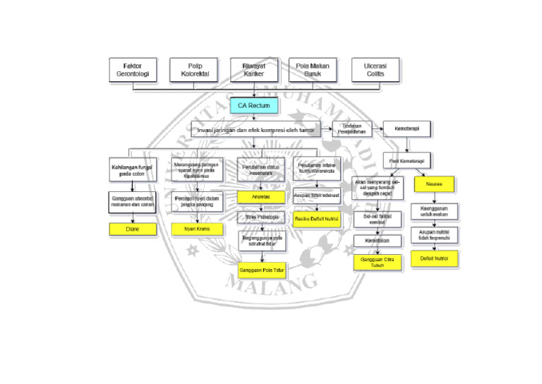 Patway Sigmoid | PDF