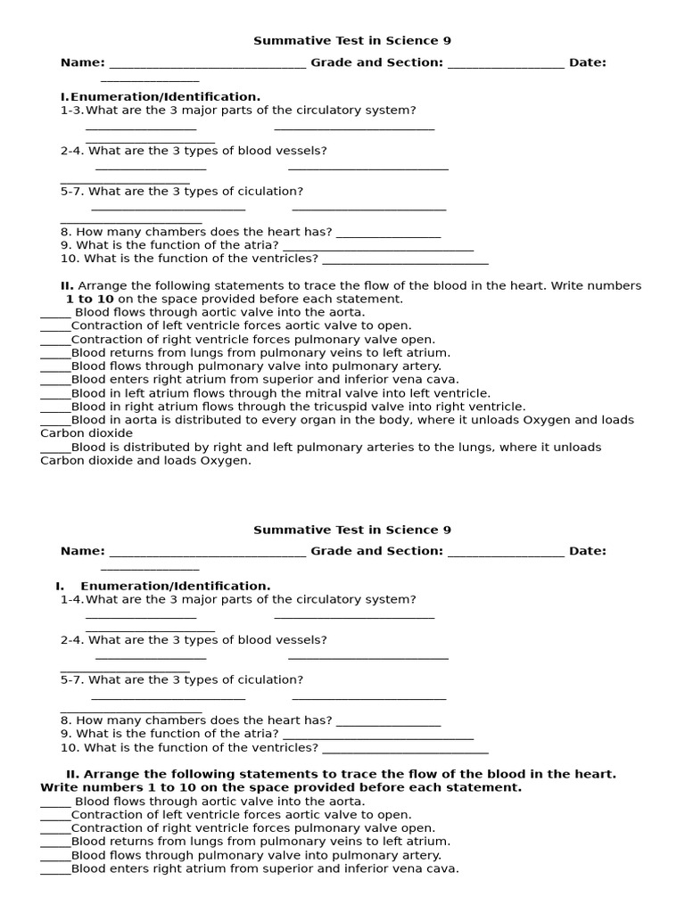 Summative Test-Circulatory | PDF | Heart Valve | Atrium (Heart)