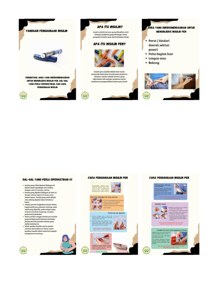 23S1FAM0052 MITA ALFIYANTI Leaflet Penggunaan Insulin Kel.2 | PDF