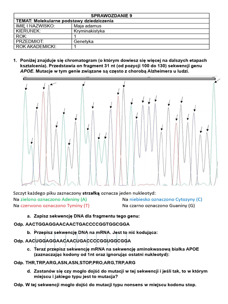 Sprawozdanie9 Adamus M | PDF