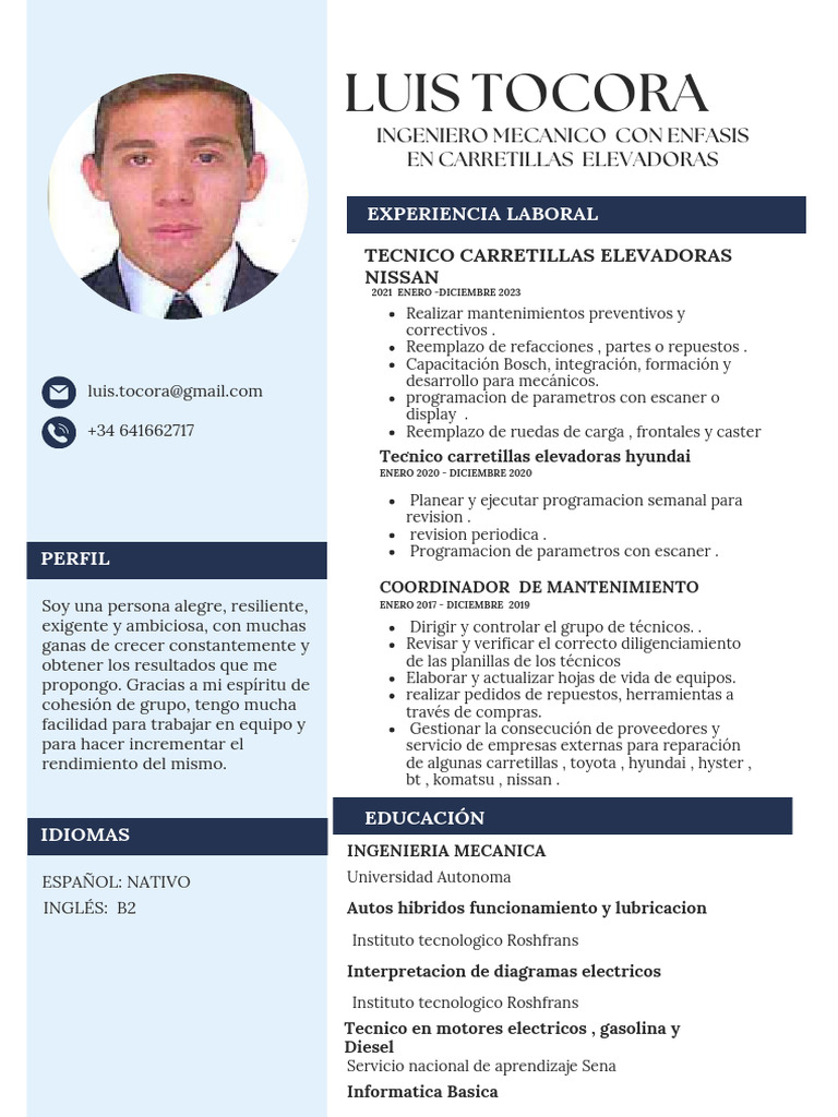 Currículum Luis Tocora C | PDF