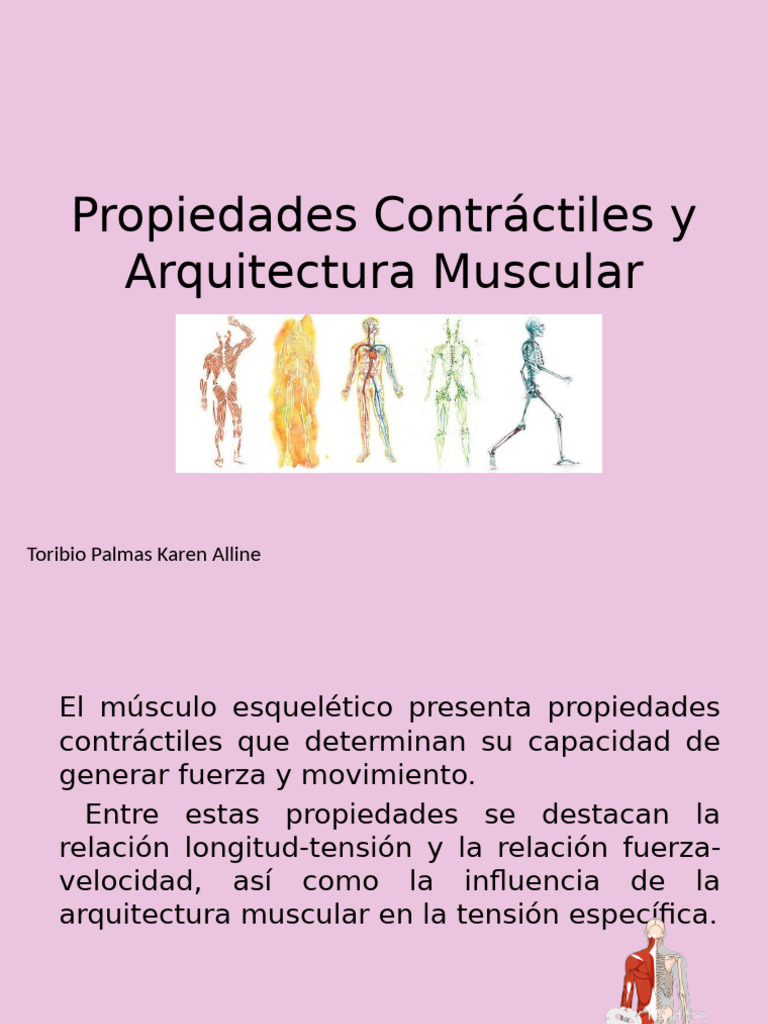 Expo Fisiología Ejercio KATP | PDF