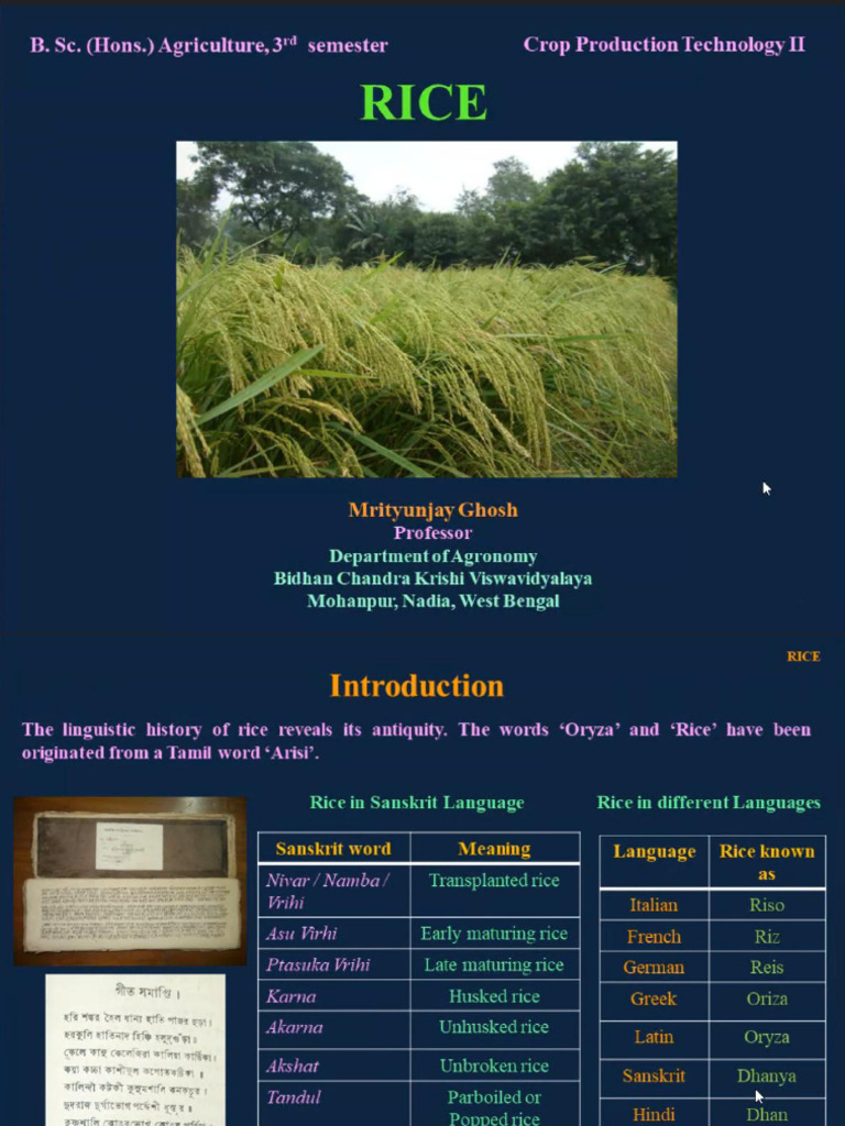 AGR-201 - Rice I - M. Ghosh | PDF
