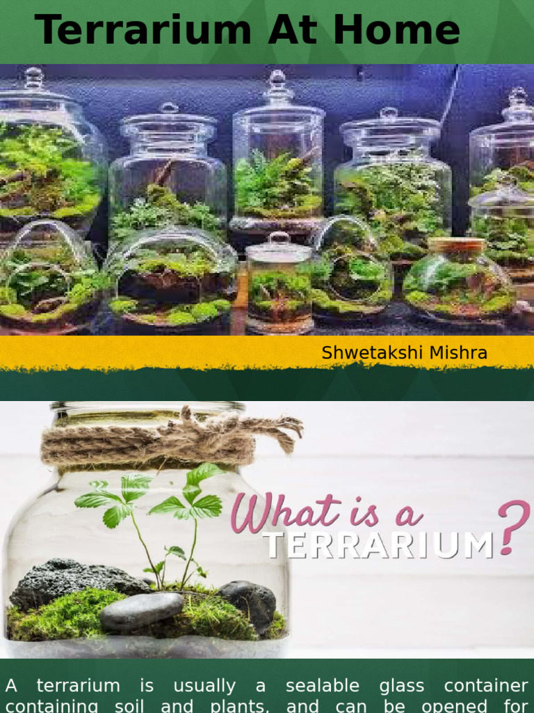 DIY Terrarium Guide for Home | PDF