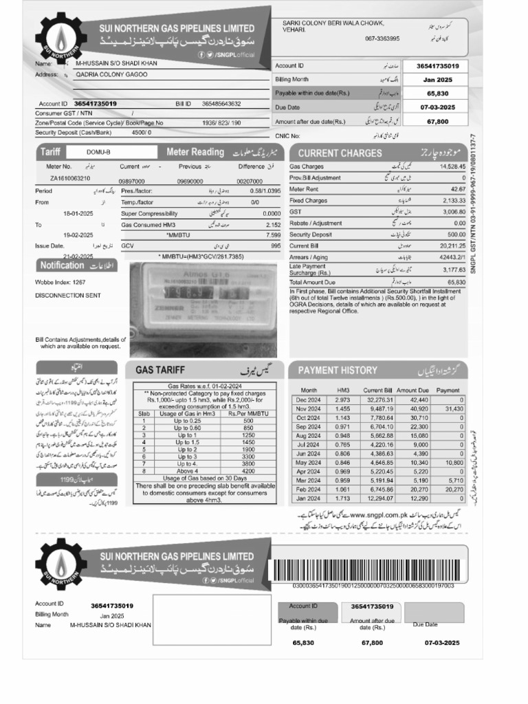 SNGPL - Web Bill | PDF