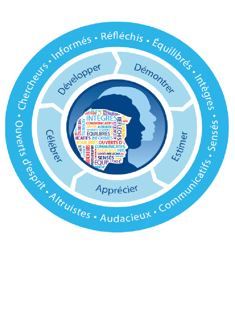 Profil de l'Apprenant Disque | PDF