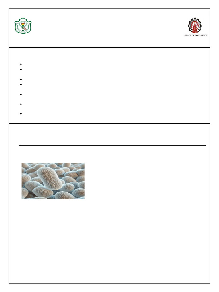 Science Sample Paper Class 8 | PDF | Sound | Fires