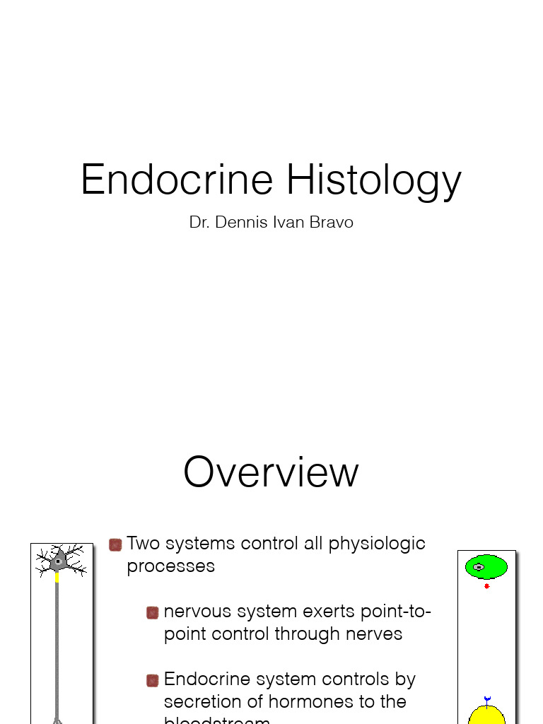 Endocrine Histology (1) | PDF | Pituitary Gland | Endocrine System