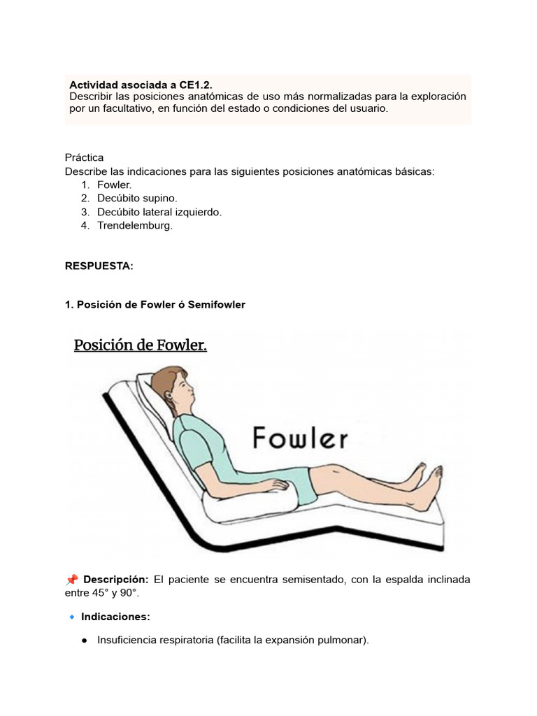 Actividad Asociada A CE1.2 | PDF